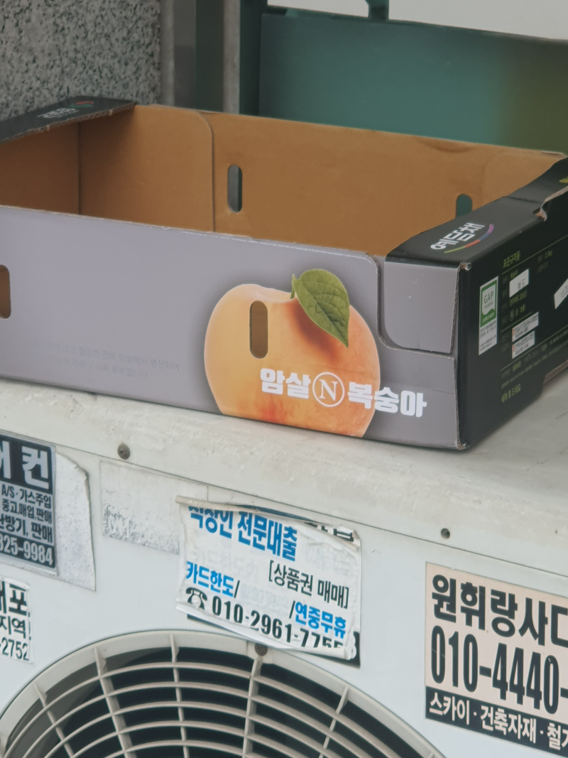 메이플스토리 인벤 암살복숭아 메이플스토리 인벤 도적 직업게시판