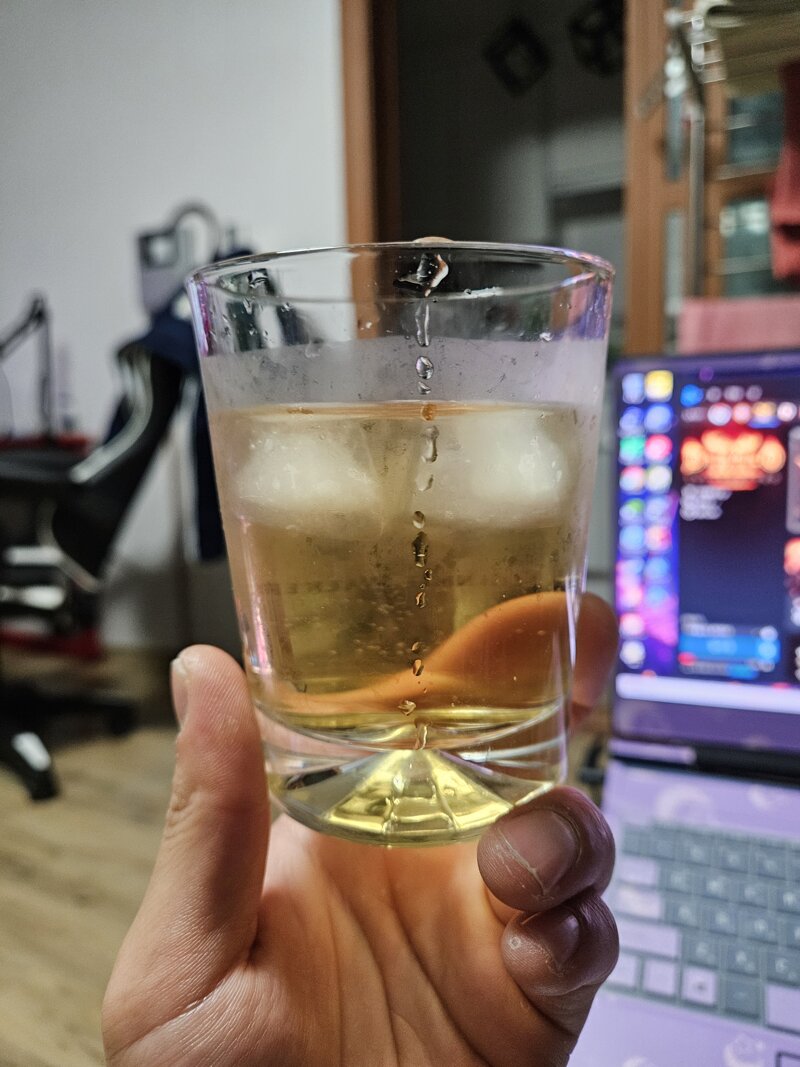 2차로 친구집왔음 디아블로2 자유 게시판 디아블로2 인벤