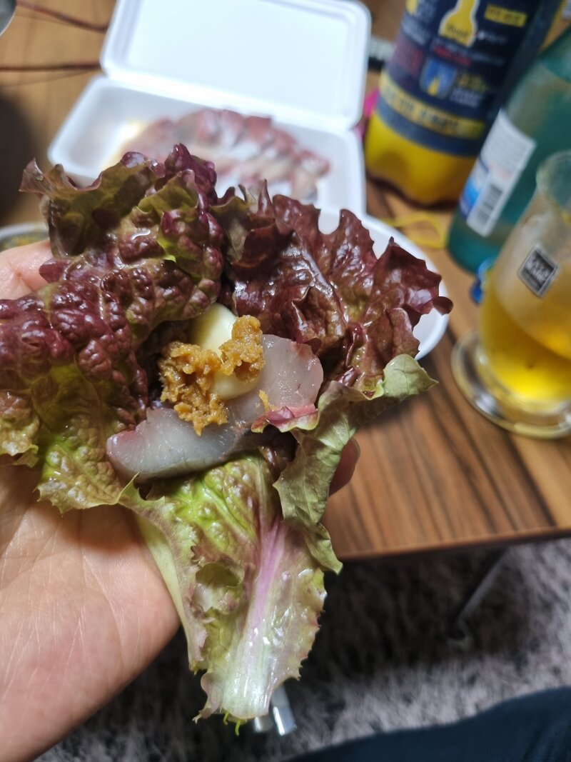 던져 디아블로2 자유 게시판 디아블로2 인벤