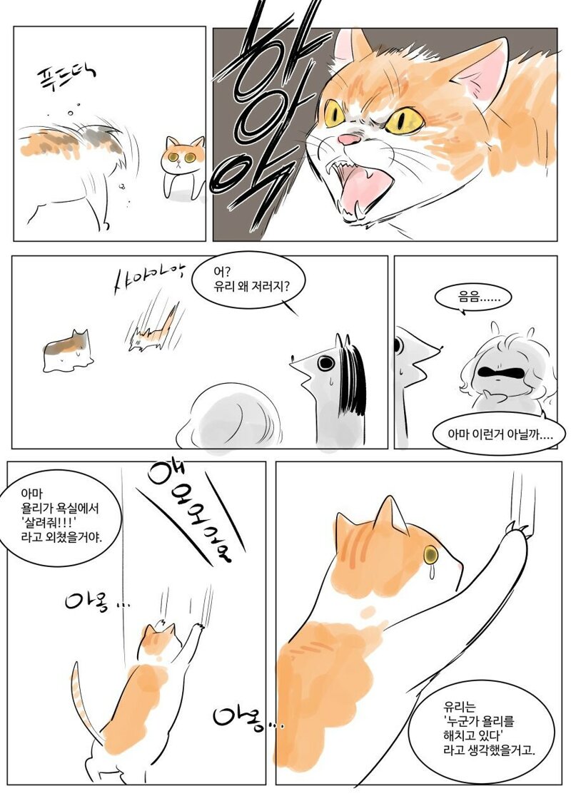 메이플스토리 인벤 냥빨래하는manhwa 메이플스토리 인벤 자유게시판