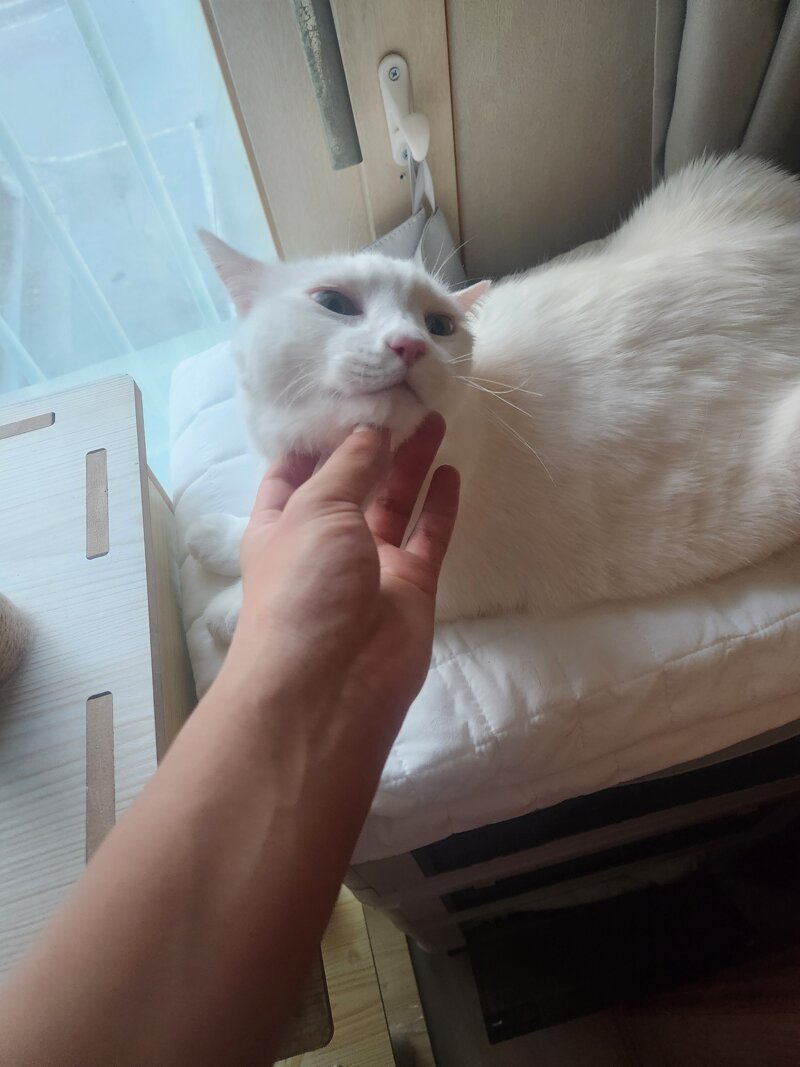 메이플스토리 인벤 받5천 ㄹㅈㄱ ㅅㄷㄴㄴ 메이플스토리 인벤 자유게시판