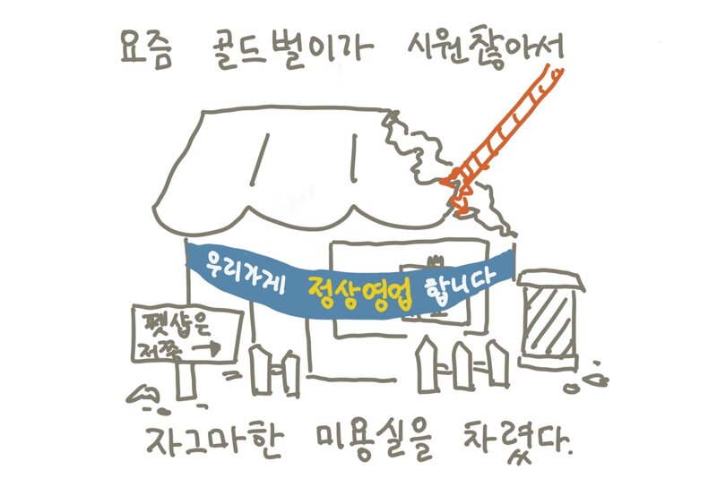 로스트아크 인벤 에스더와 미용실 Manhwa 카단 편 로스트아크 인벤 자유 게시판