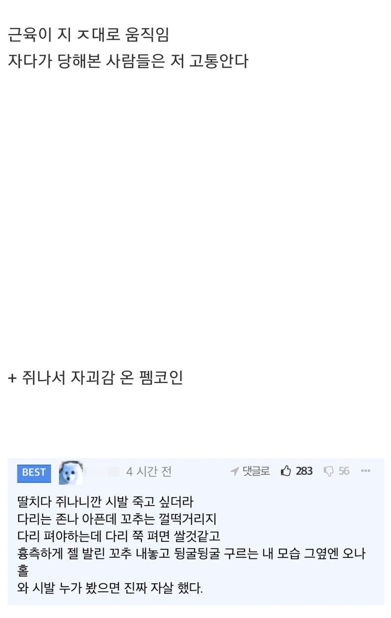 약혐 쥐나본적 없는 사람들이 가끔 오해하는것 볼텍스 게이밍