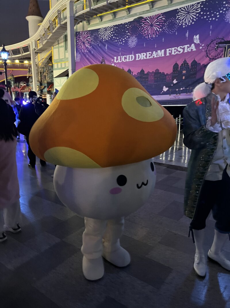 메이플스토리 인벤 드림 페스타 짧 사진 메이플스토리 인벤 자유게시판