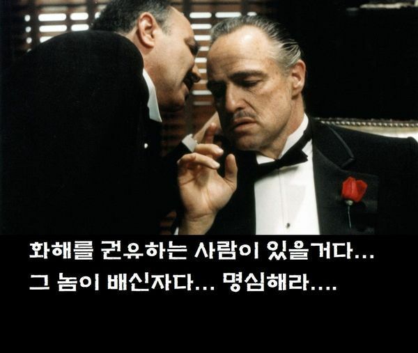 검은사막 커뮤니티 화제 와 3추글 보니까 진짜 아줌마들 왔나보네 Vortex Gaming
