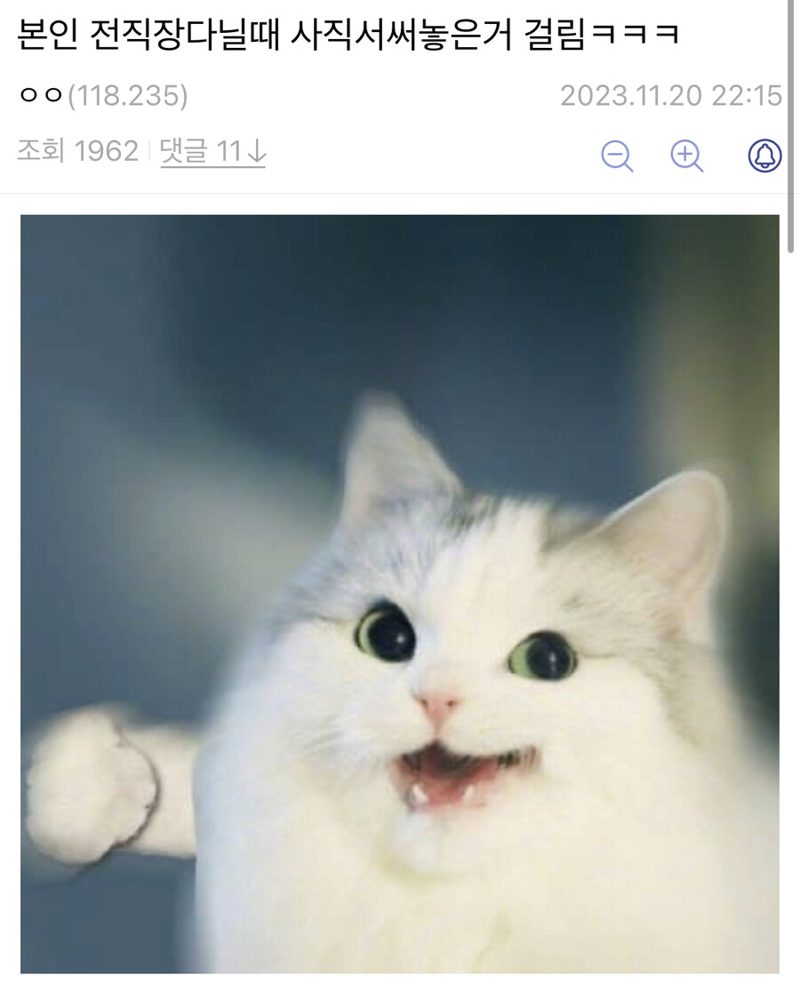 사직서를 들킨 디시인 볼텍스 게이밍
