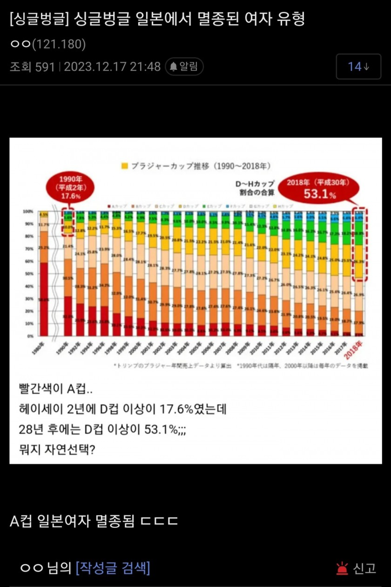 일본에서 거의 사라진 여자 유형 Vortex Gaming