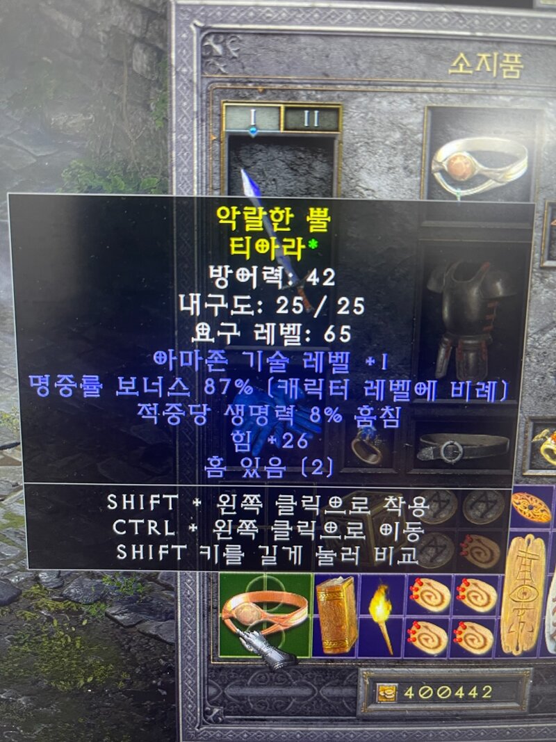 렙당투구 감정좀 부탁드릴게요 디아블로2 자유 게시판 디아블로2 인벤