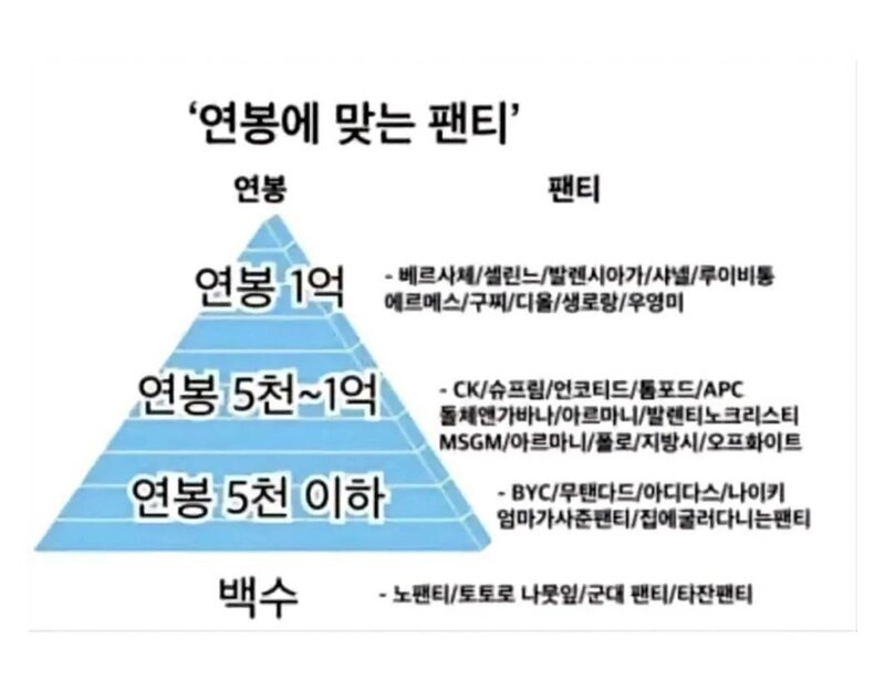 본인 연봉에 맞는 팬티 추천 볼텍스 게이밍