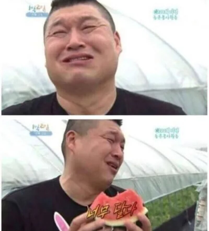 메이플스토리 인벤 이번에 메르키워보고 충격먹음 메이플스토리 인벤 궁수 직업게시판