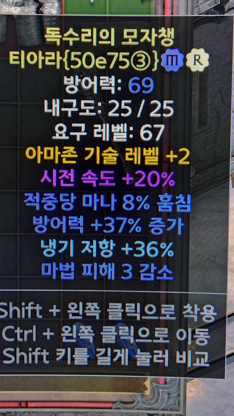 이거 버려야겠죠혹시 팔릴까요 디아블로2 자유 게시판 디아블로2 인벤