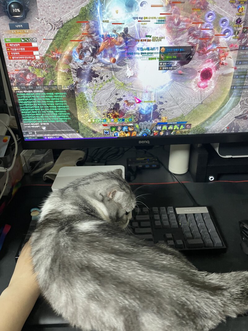 로스트아크 커뮤니티 화제 비키라고 제발 Vortex Gaming
