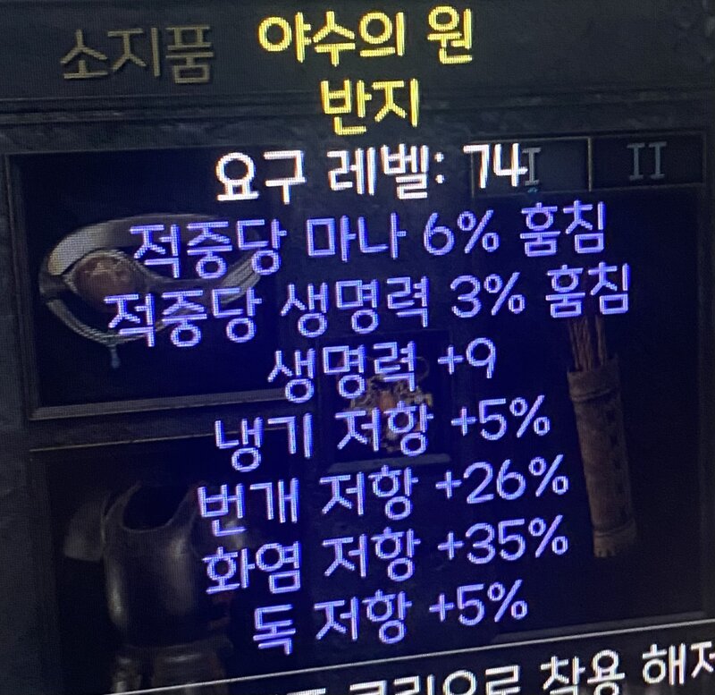 레어링 이중에 쓸만한 게 있을까요 디아블로2 득템and자랑 게시판 디아블로2 인벤