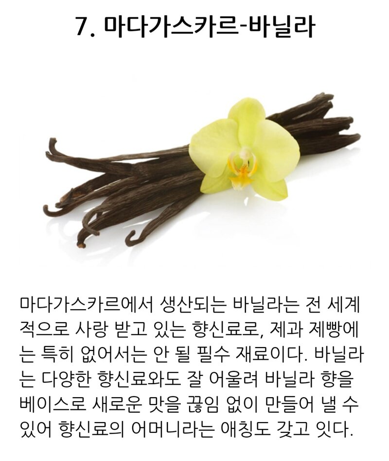 향신료주의세계각국의 유명한 향신료들 한국인은 왜 향신료를 안쓸까 오픈이슈갤러리 인벤