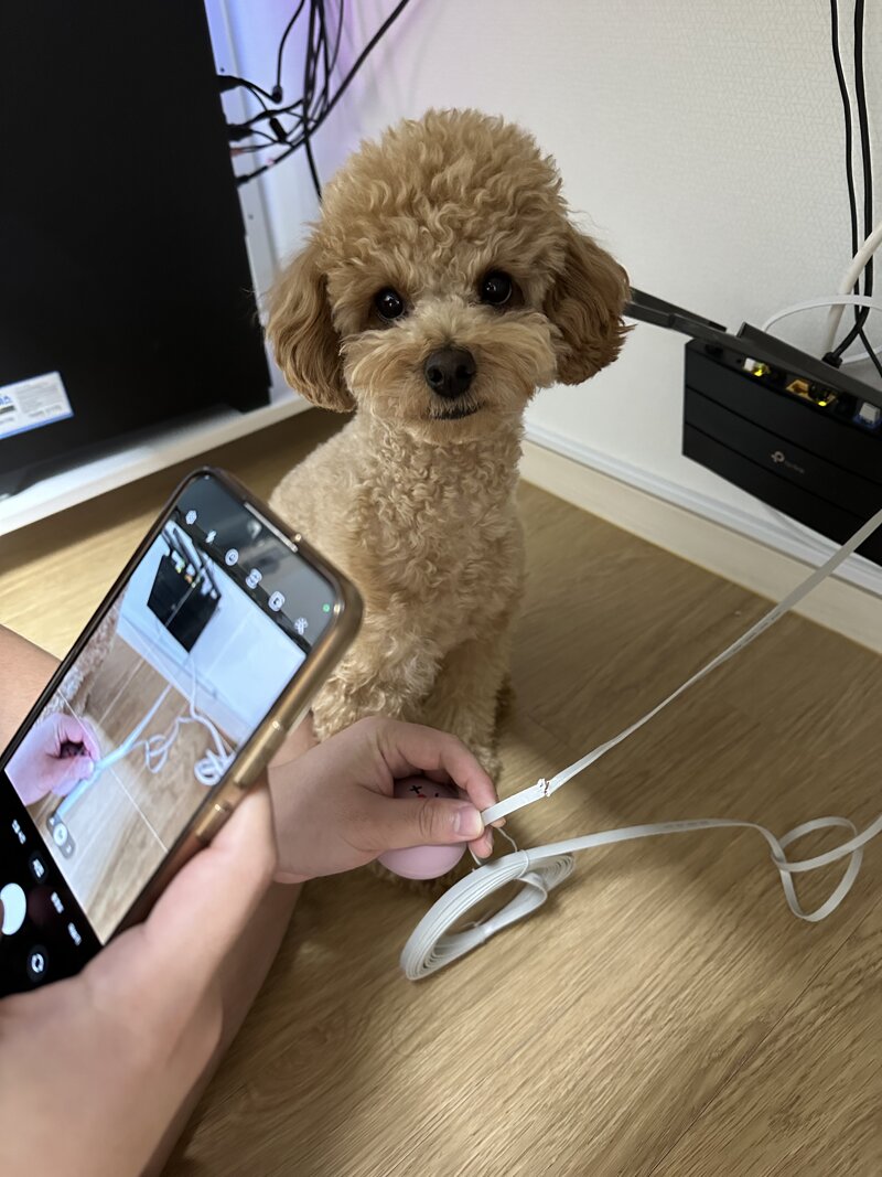 아니 무슨 개가 랜선을 끊어서 나갔대 ㅡㅡ 볼텍스 게이밍