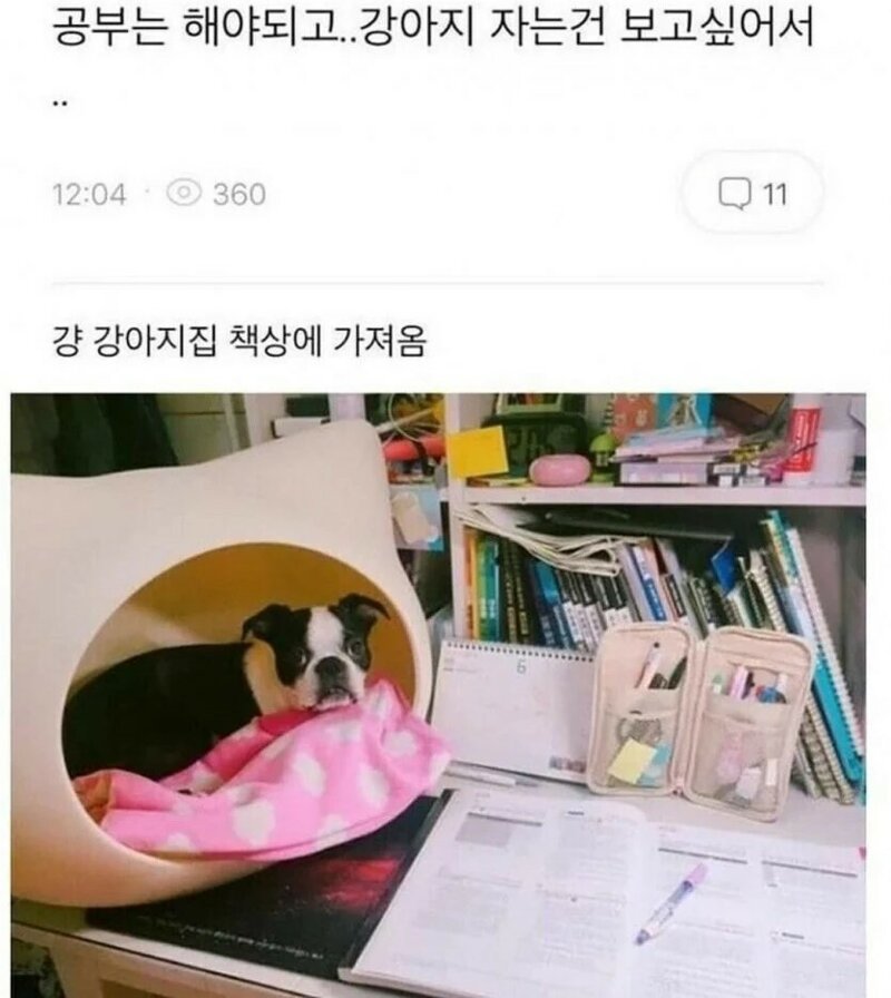 로스트아크 인벤 둘다 포기 못해 ㅁㅊ ㄷㄷㄷㄷㄷㄷㄷㄷㄷㄷㄷ 로스트아크 인벤 자유 게시판