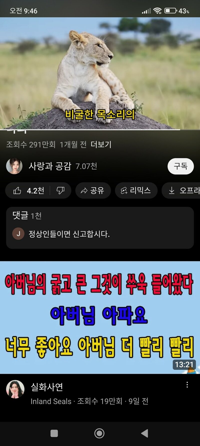 오픈 이슈 갤러리 약혐 어르신들 상대로하는 유툽 컨텐츠 Vortex Gaming