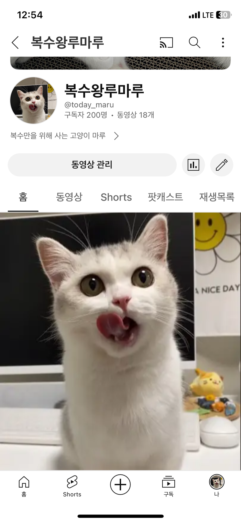 리그오브레전드 인벤 드뎌 200 찍엇다 Lol 인벤 자유 주제 게시판