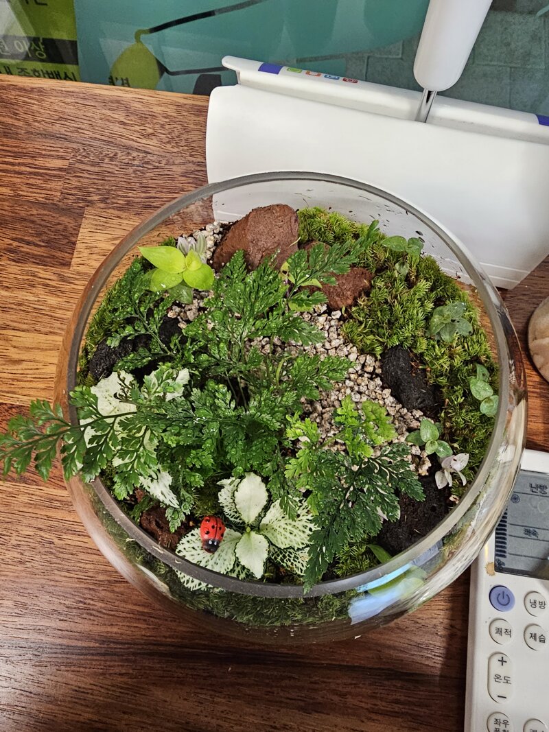 월드 오브 워크래프트 인벤 쐐기에서 화나서 정신수양하려고만든것 와우 인벤 쐐기돌 게시판