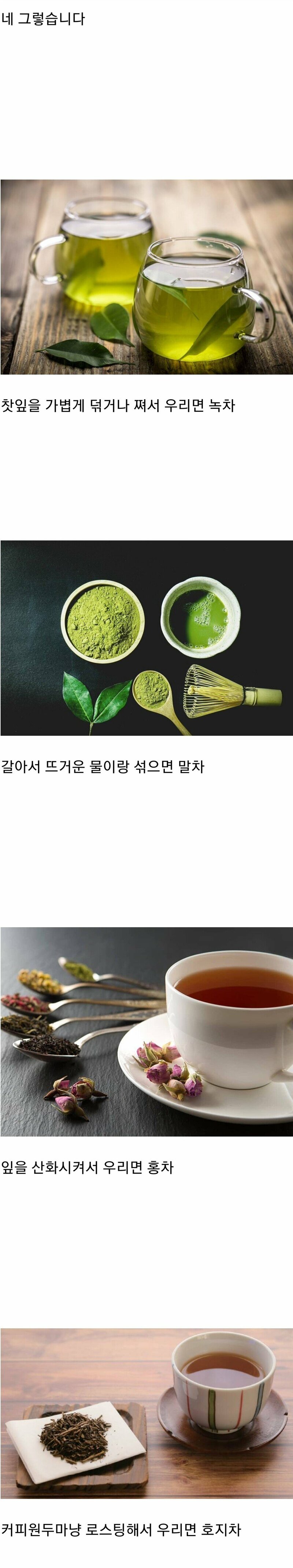 오픈 이슈 갤러리 의외로 모르는 사람이 많다는 차의 비밀 Vortex Gaming