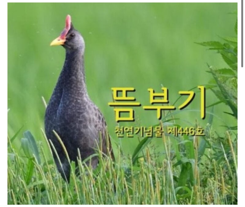 메이플스토리 인벤 리부트님들 손잡고 같이 누웁시다 메이플스토리 인벤 마법사 직업게시판
