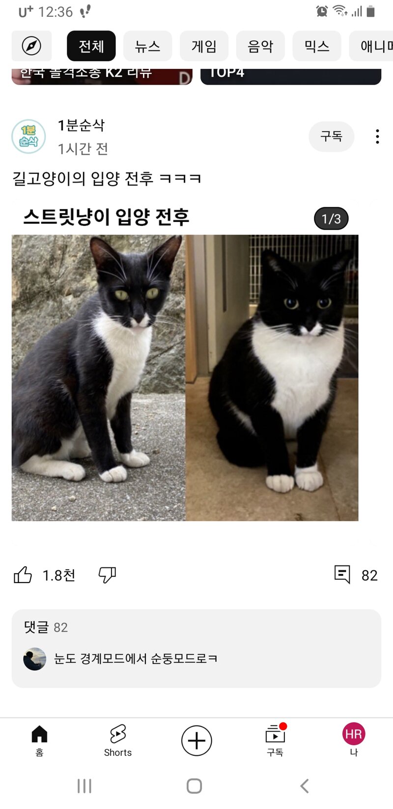 검은사막 인벤 펫 병신 맞는데 왜 그래 검은사막 인벤 자유게시판