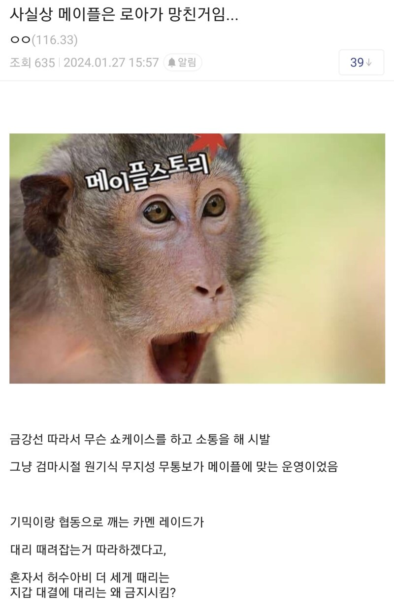 갤펌 사실상 메이플은 로아가 망친거임 Vortex Gaming