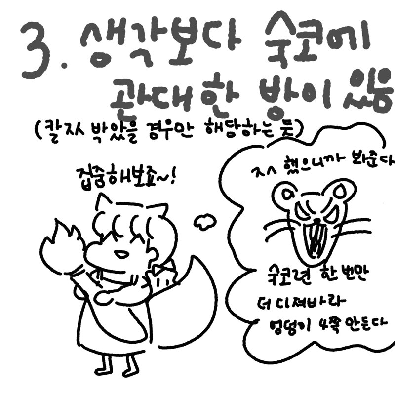 로스트아크 커뮤니티 화제 로아하는 사람들 특이 있음 4번이 본론 길드원 몰래 올립니다 Vortex Gaming