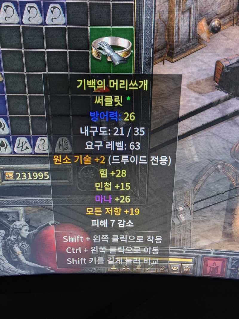 기백의 머리쓰개 팔릴까요 디아블로2 자유 게시판 디아블로2 인벤
