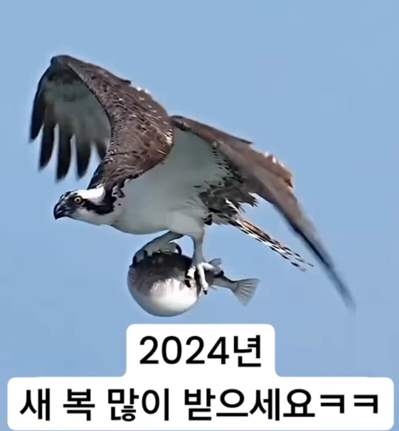 디하~~ 디아블로2 자유 게시판 디아블로2 인벤