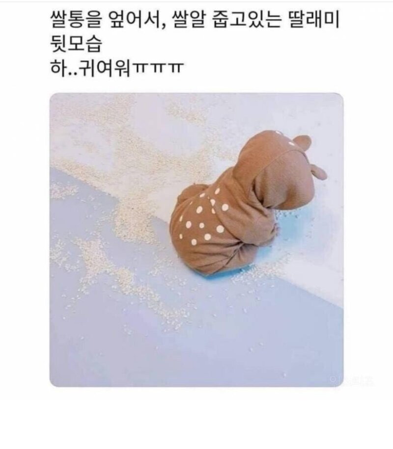 로스트아크 인벤 마치 나와같은 짤 가져왔음 로스트아크 인벤 자유 게시판