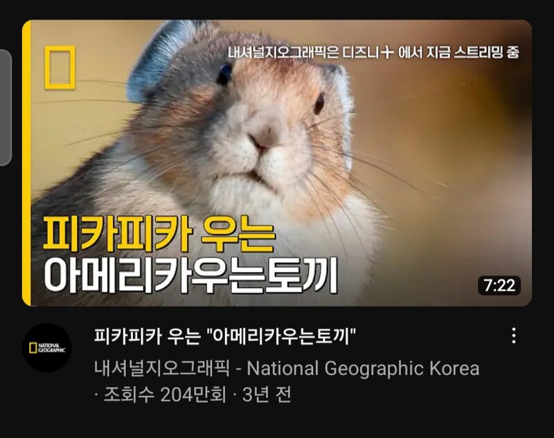 로스트아크 인벤 이상하다 분명 파카파카하고 우는 토끼였는데 로스트아크 인벤 자유 게시판