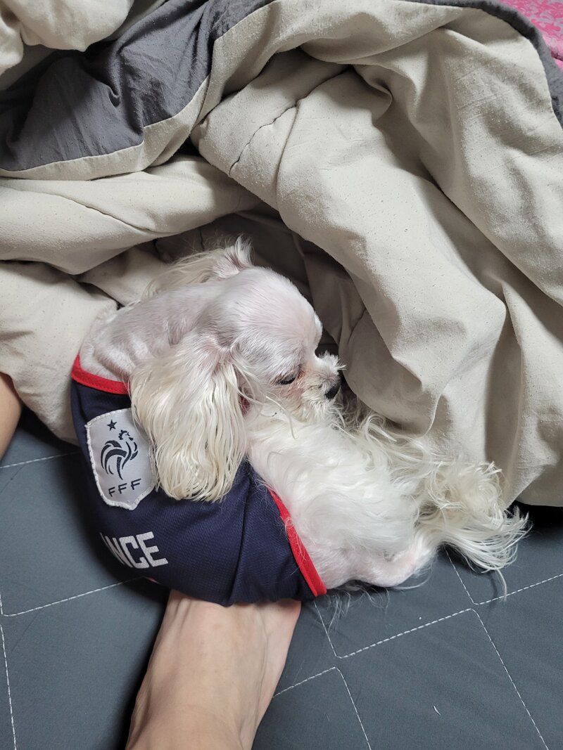 메이플스토리 인벤 얘 뭐하냐 메이플스토리 인벤 자유게시판