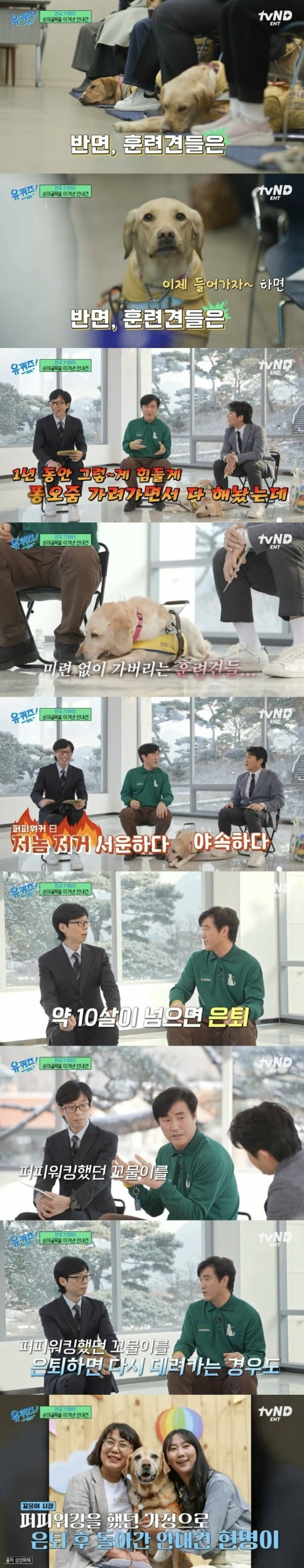 안려견 훈련중 눈물바다가 되는 과정 볼텍스 게이밍