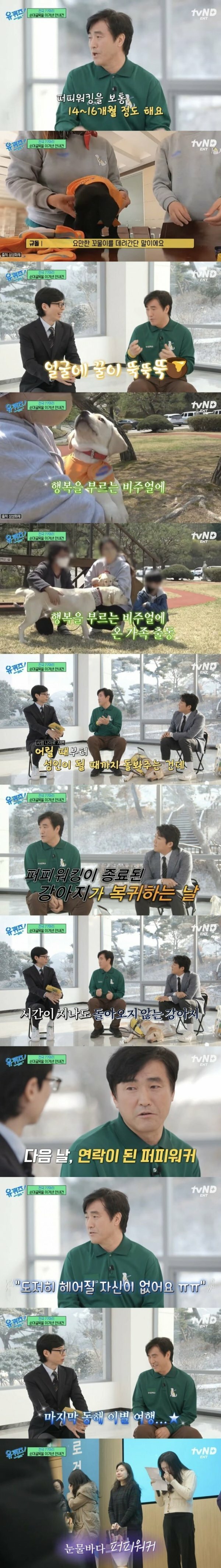 안려견 훈련중 눈물바다가 되는 과정 볼텍스 게이밍