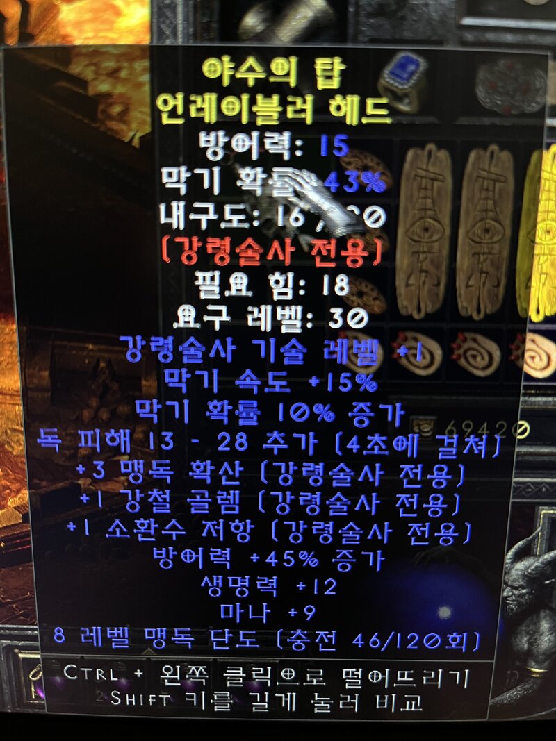 선생님들 독넥 방패 어떤가욥 디아블로2 자유 게시판 디아블로2 인벤