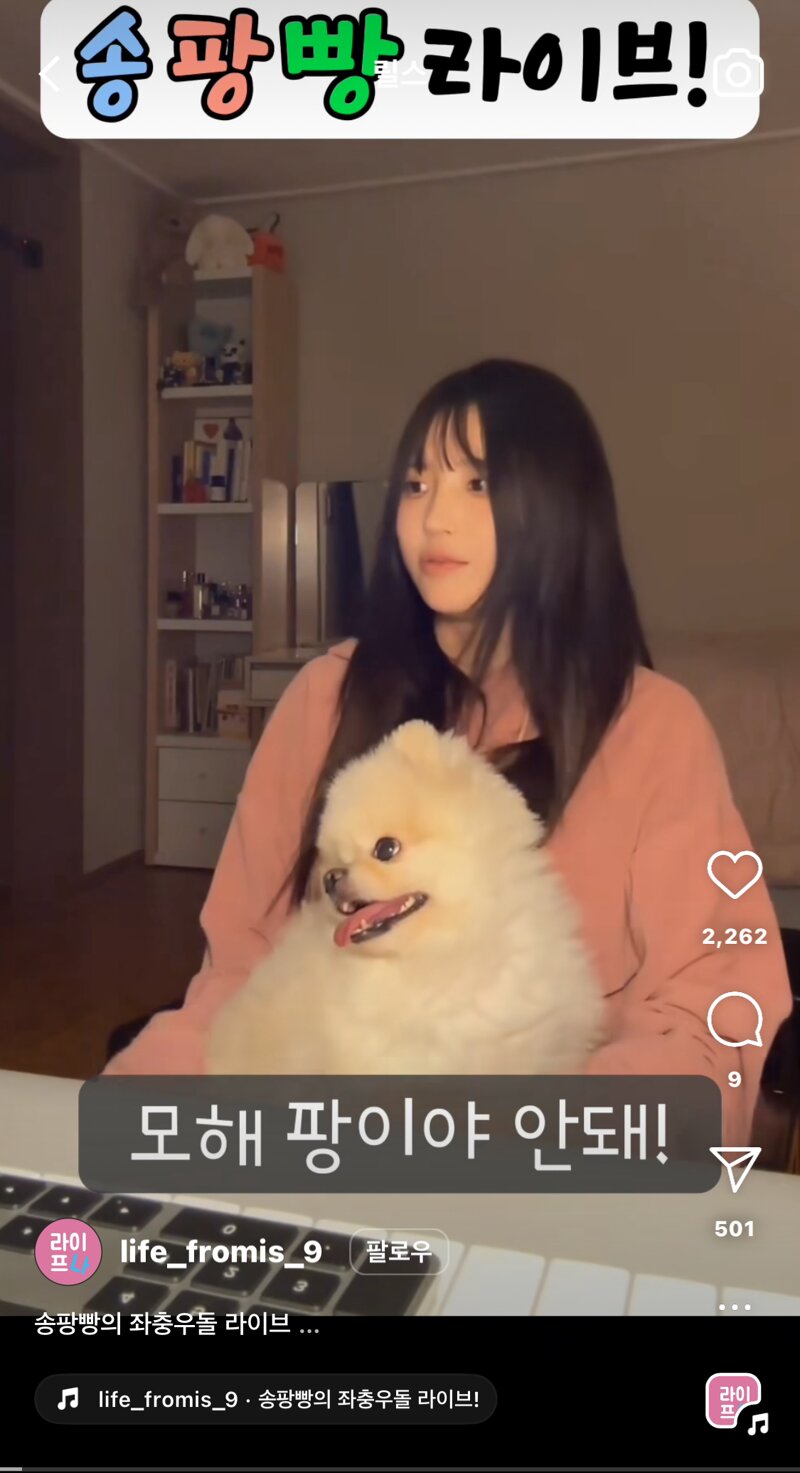 메이플스토리 인벤 모해 팡이야 안돼 메이플스토리 인벤 자유게시판