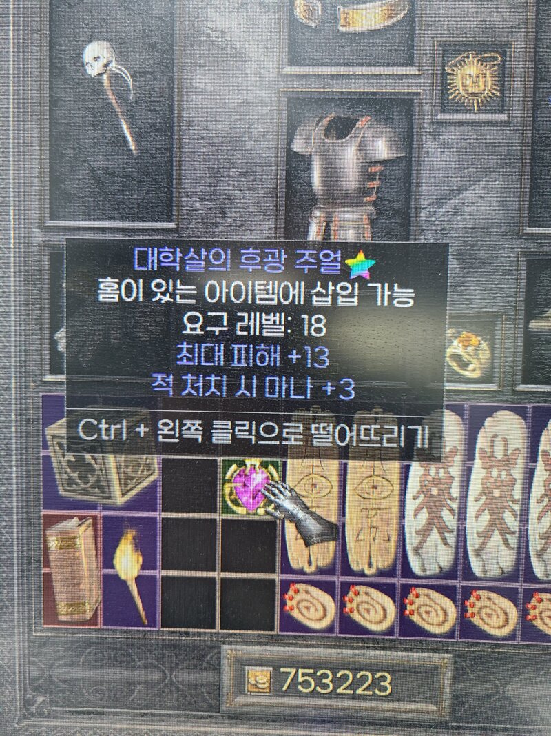 맥뎀에 마상주얼 환인가요 디아블로2 득템and자랑 게시판 디아블로2 인벤