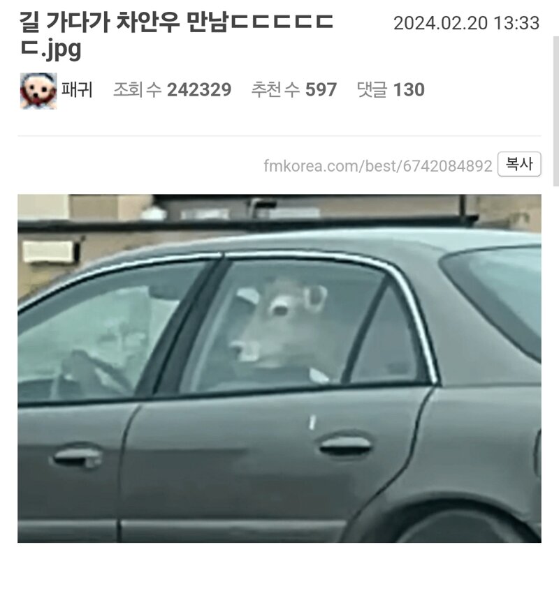 메이플스토리 인벤 길가다 차안우 만남 ㄷㄷㄷ 메이플스토리 인벤 자유게시판