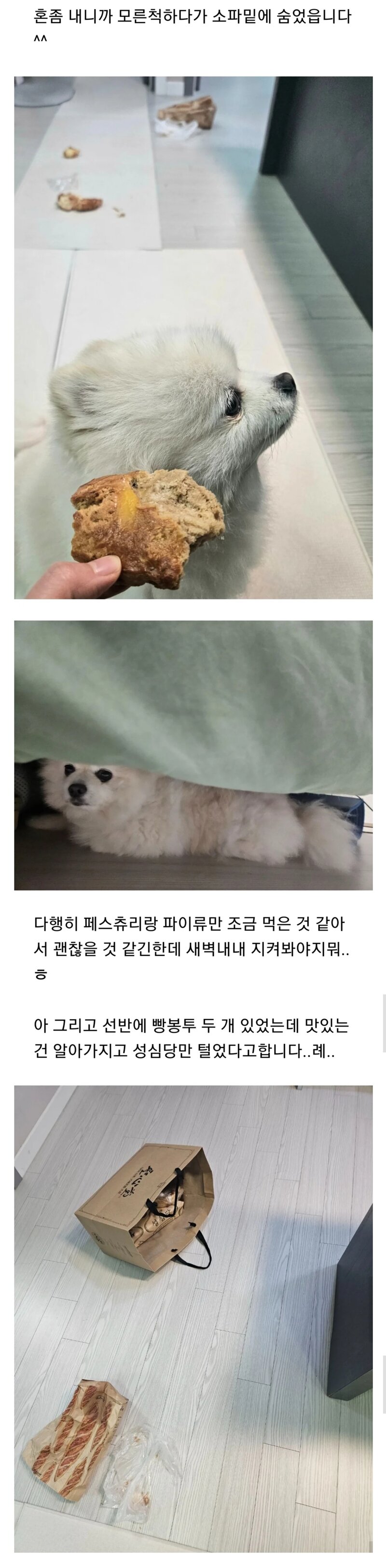 회사에서 일하다가 집 Cctv보고 반차쓸뻔한 사람 볼텍스 게이밍