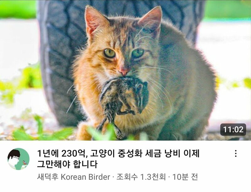 메이플스토리 인벤 댓글이 기대되는 썸네일 메이플스토리 인벤 자유게시판