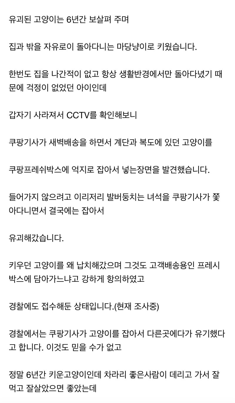 메이플스토리 커뮤니티 화제 현재 난리난 쿠팡기사 고양이 유괴사건 Vortex Gaming