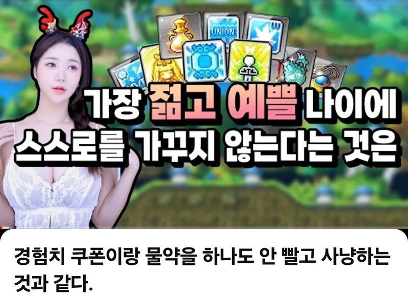 메이플스토리 인벤 메이플로 인생을 배웠다 메이플스토리 인벤 자유게시판