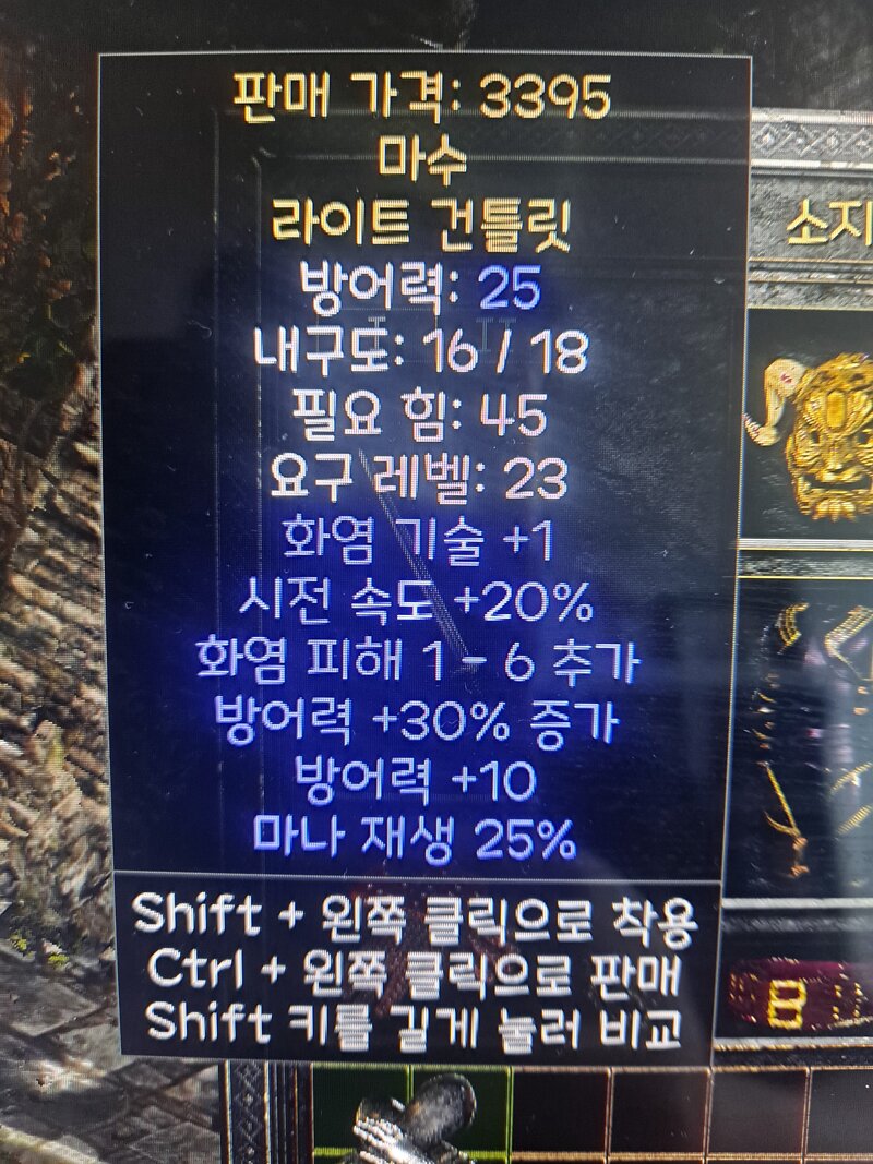 외출전에 메피장 먹었네요 디아블로2 자유 게시판 디아블로2 인벤
