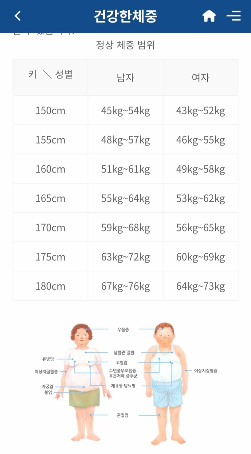 의사가 말하는 적정체중 과 키 볼텍스 게이밍
