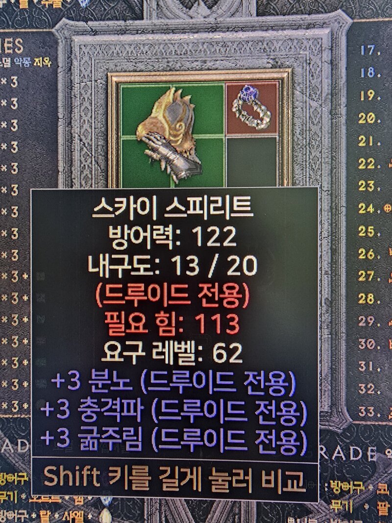 드루 뚜껑 뼈대 하나 주웠는데 좀 봐주세요~ 디아블로2 득템and자랑 게시판 디아블로2 인벤
