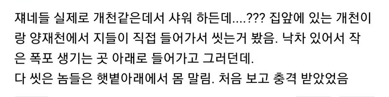 로스트아크 인벤 약혐 비둘기는 얼마나 더러울까 ㅁㅊ 로스트아크 인벤 자유 게시판구