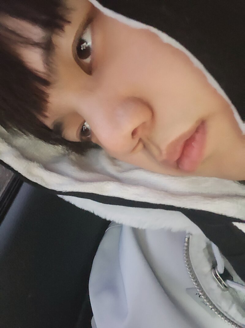 메이플스토리 인벤 나 응우옌같이 생김 메이플스토리 인벤 자유게시판