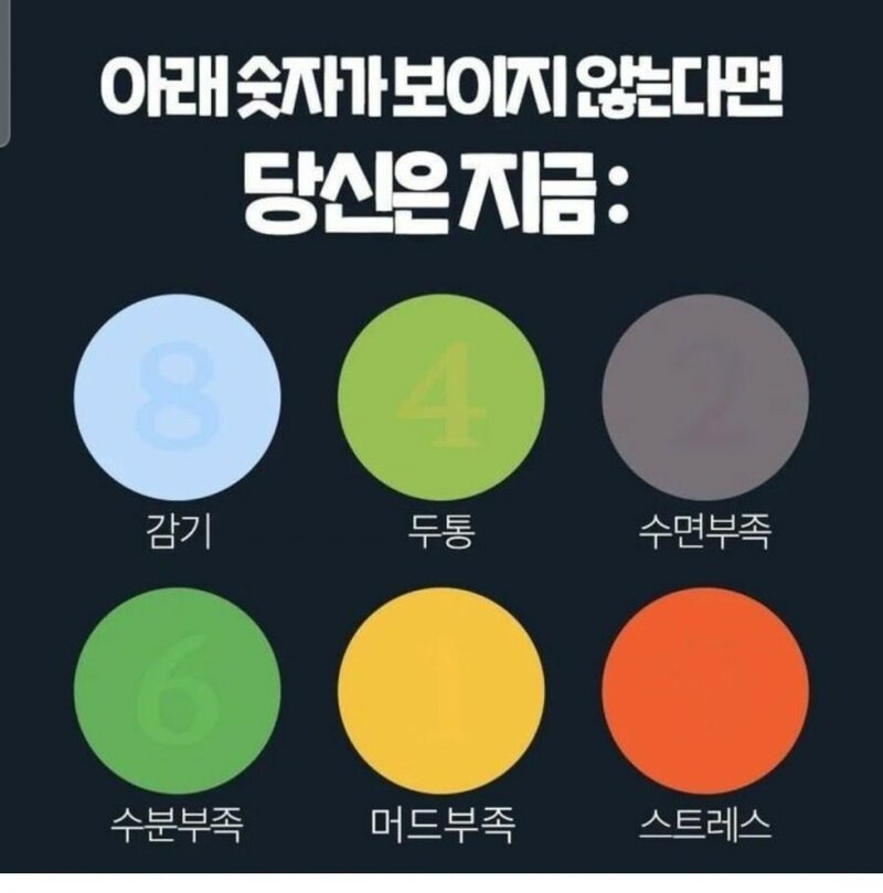 로스트아크 인벤 이거 뭐 안보이시나요 로스트아크 인벤 자유 게시판구