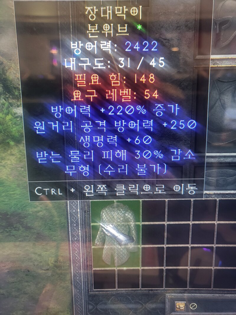 으뜸 장대막이 디아블로2 자유 게시판 디아블로2 인벤